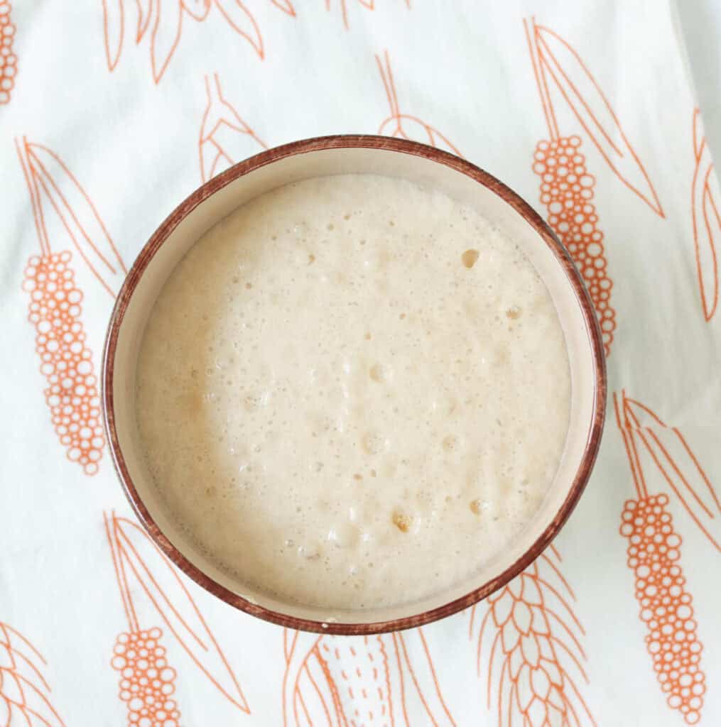 Quick Pizza Dough - Tasha's Artisan Foods